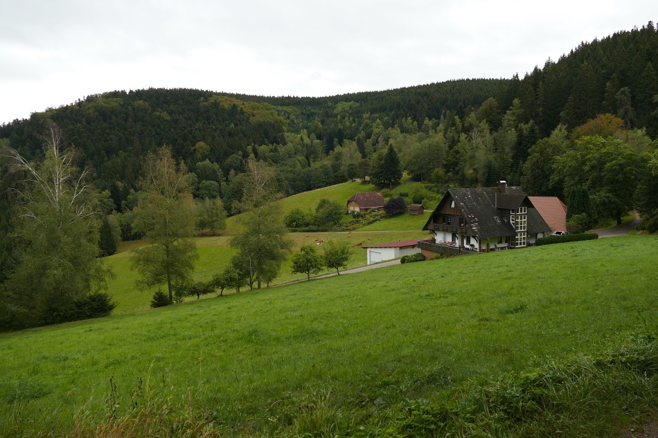 Wolfach
